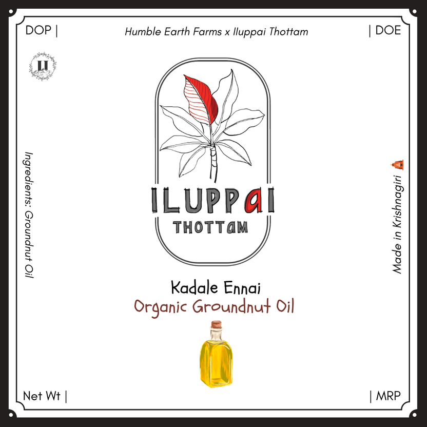 Naturally-farmed Groundnut Oil, Iluppai Farms - 480ml (Cold-pressed, u ...